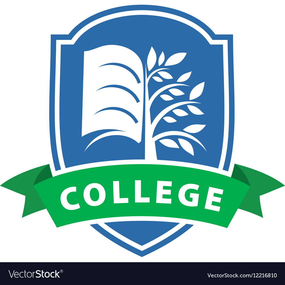 University Website Design University Website Design